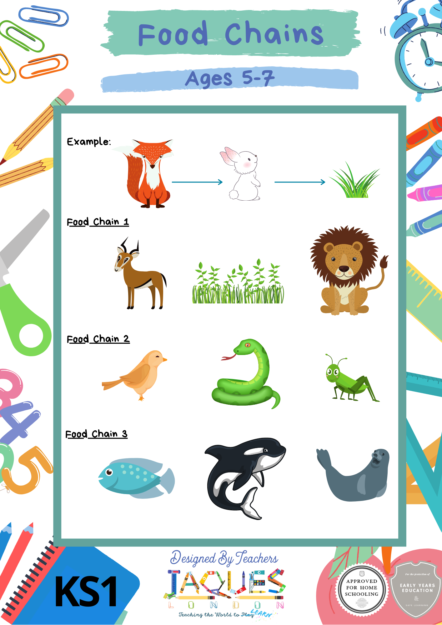 Food Chain Worksheets 2nd Grade