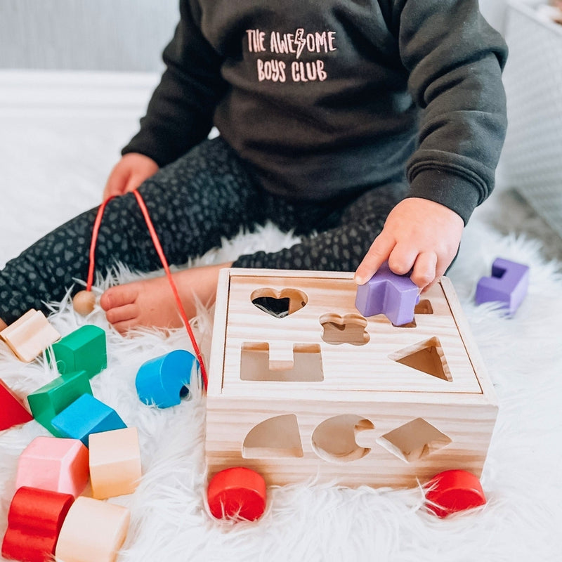 Pull Along Shape Sorter | Shape Sorting Toy